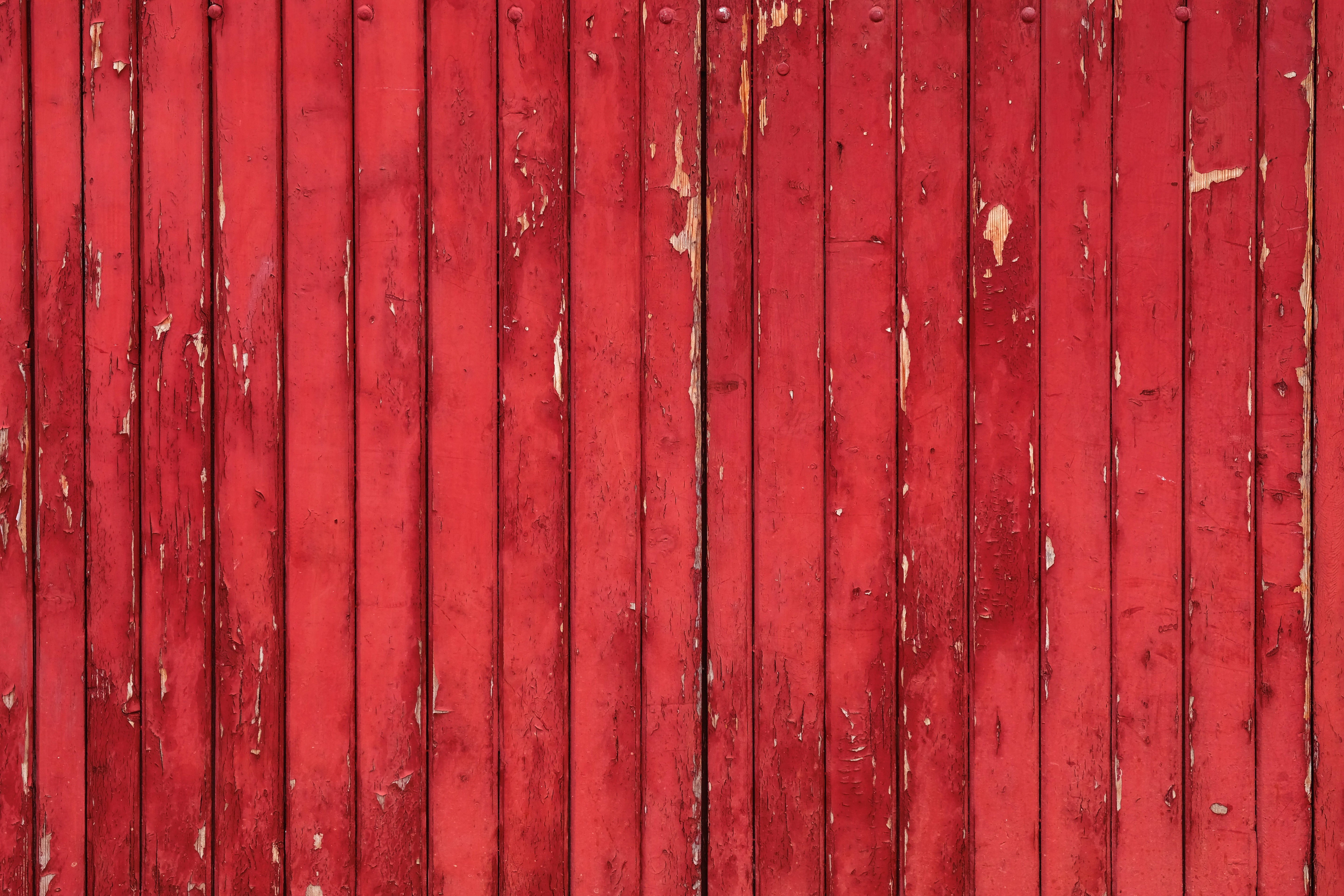 Valentine's Day Freebies Collection